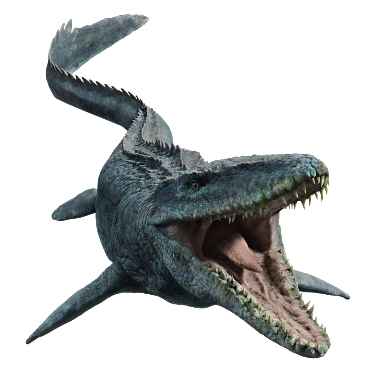 Mosasaurus | More Dinosaurs! Wiki | Fandom