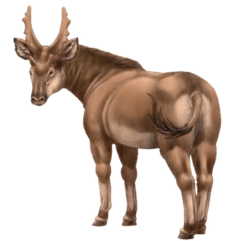 Decennatherium | More Dinosaurs! Wiki | Fandom