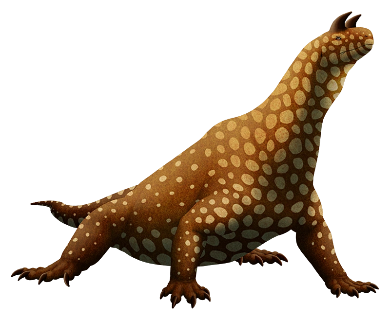 Shringasaurus | More Dinosaurs! Wiki | Fandom