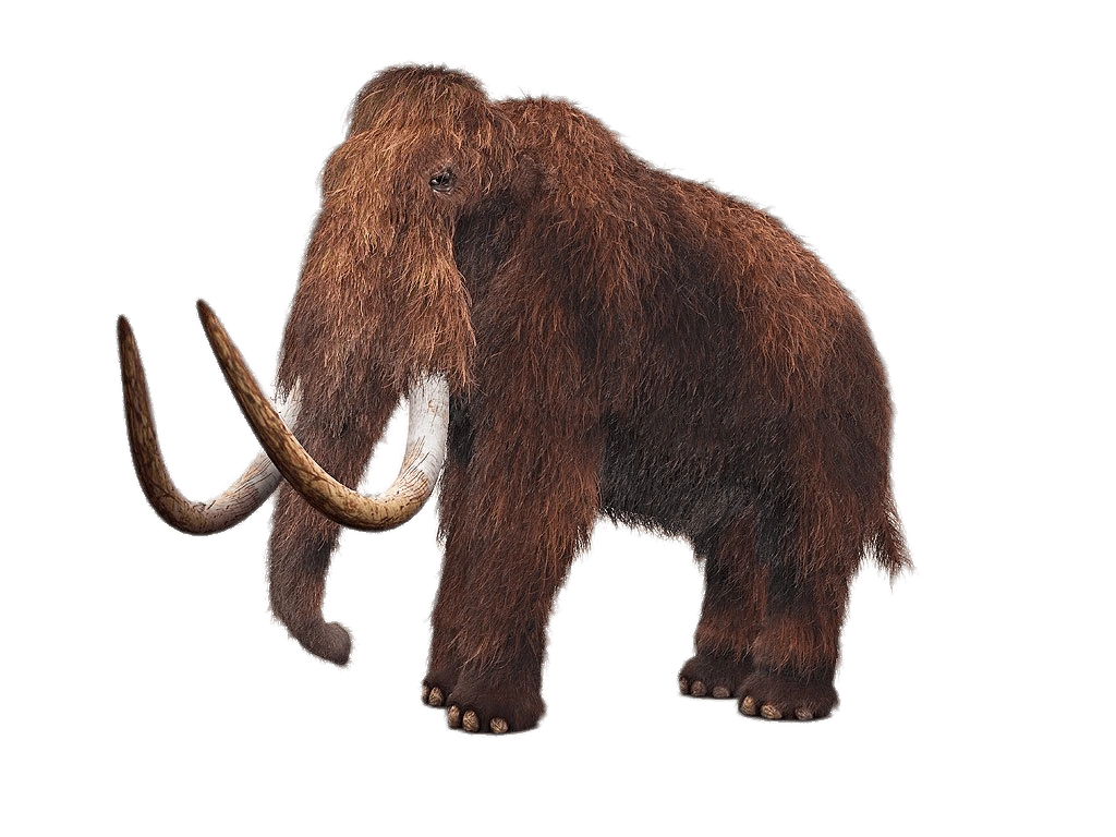 Woolly Mammoth | More Dinosaurs! Wiki | Fandom