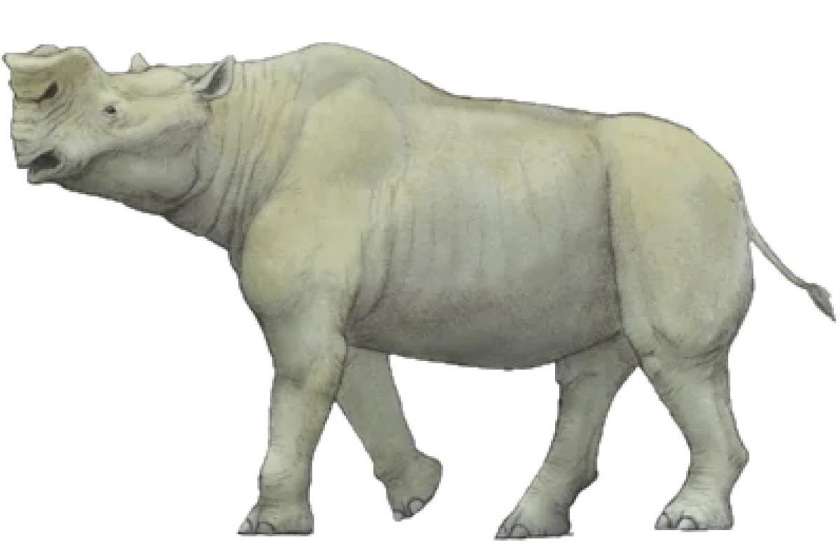 Rhinotitan | More Dinosaurs! Wiki | Fandom