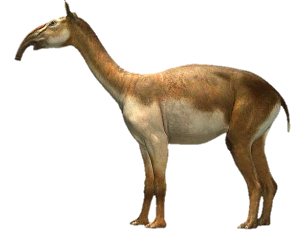 Macrauchenia | More Dinosaurs! Wiki | Fandom