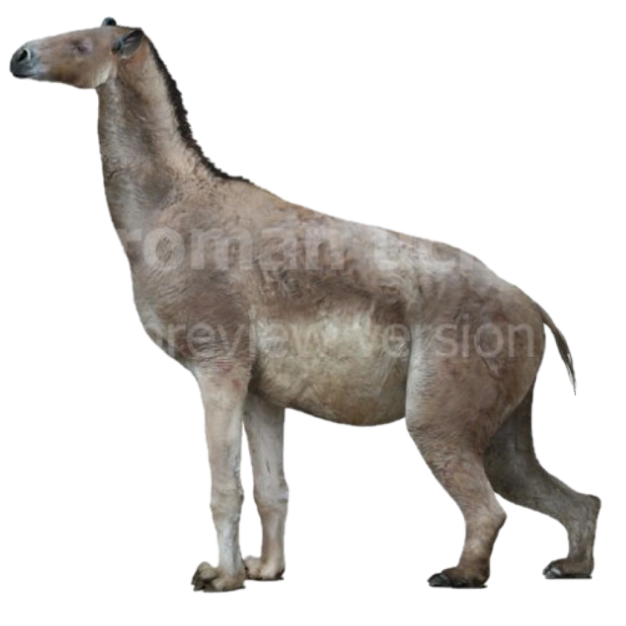 Borissiakia | More Dinosaurs! Wiki | Fandom