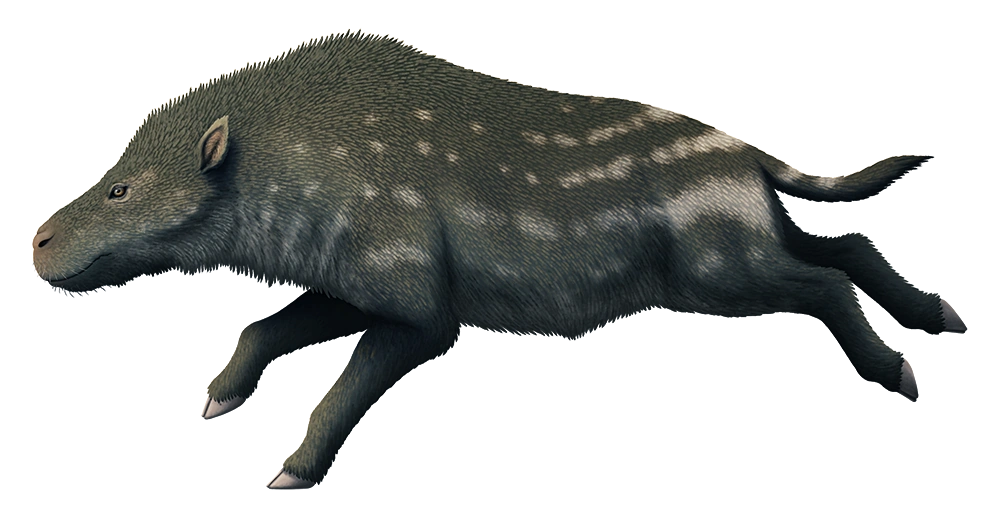 Brachyhyops | More Dinosaurs! Wiki | Fandom