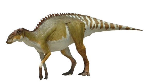 Brachylophosaurus | More Dinosaurs! Wiki | Fandom