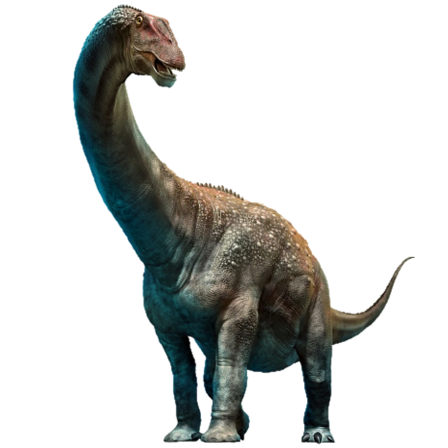 Diamantinasaurus | More Dinosaurs! Wiki | Fandom