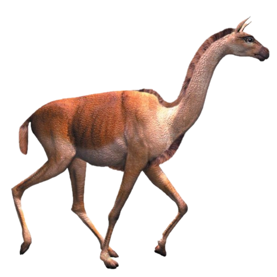 Alticamelus | More Dinosaurs! Wiki | Fandom
