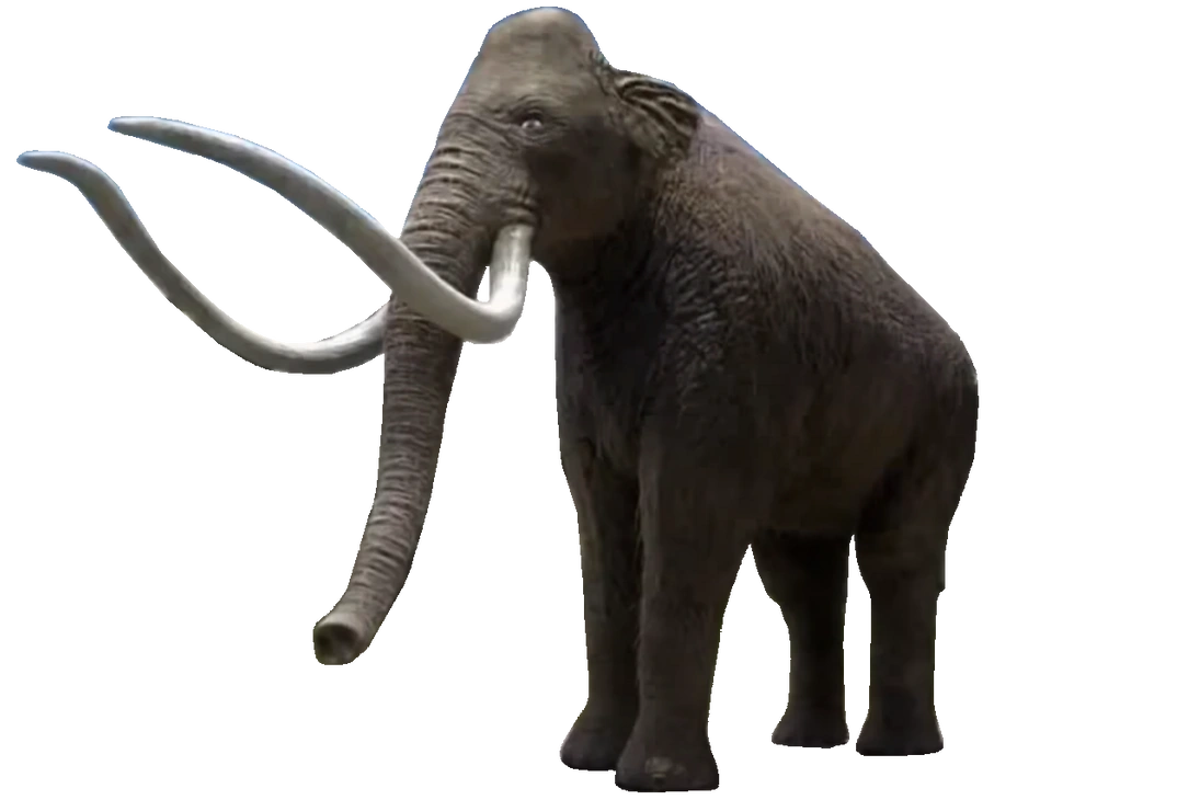 Columbian Mammoth | More Dinosaurs! Wiki | Fandom