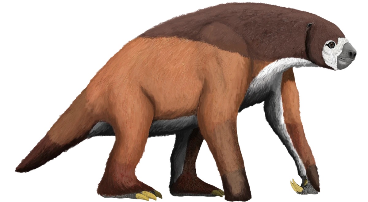 Xibalbaonyx | More Dinosaurs! Wiki | Fandom