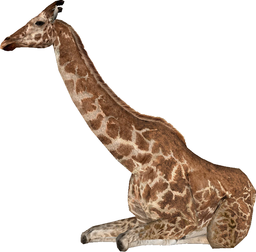 Giraffa Jumae | More Dinosaurs! Wiki | Fandom