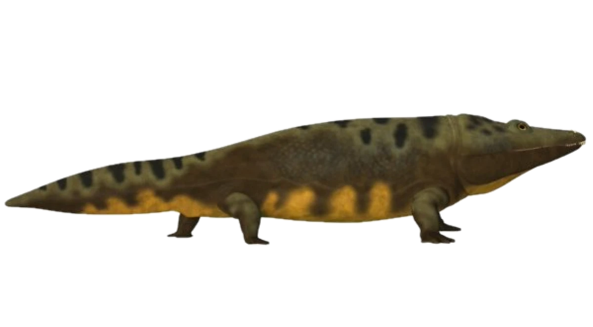 Mastodonsaurus | More Dinosaurs! Wiki | Fandom