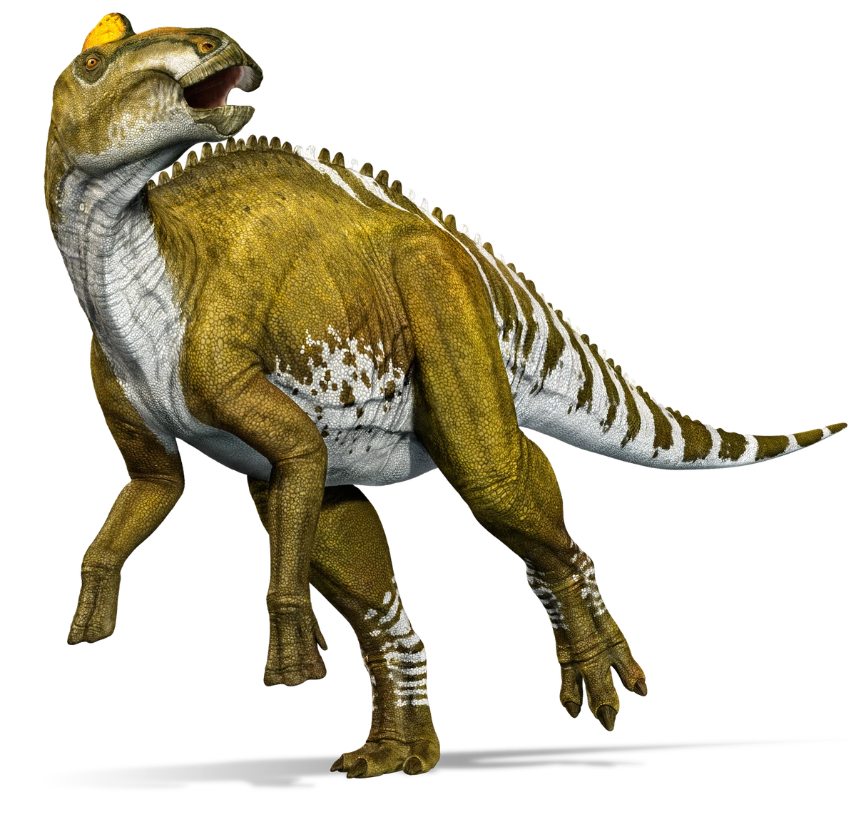 Edmontosaurus | More Dinosaurs! Wiki | Fandom
