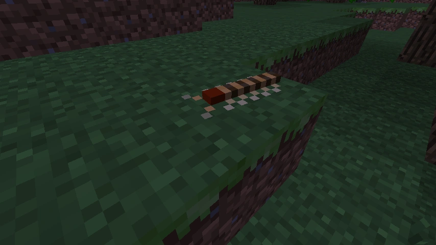 Centipede | Animals Plus Wiki | Fandom