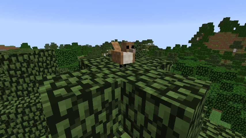 Bird | Animals Plus Wiki | Fandom