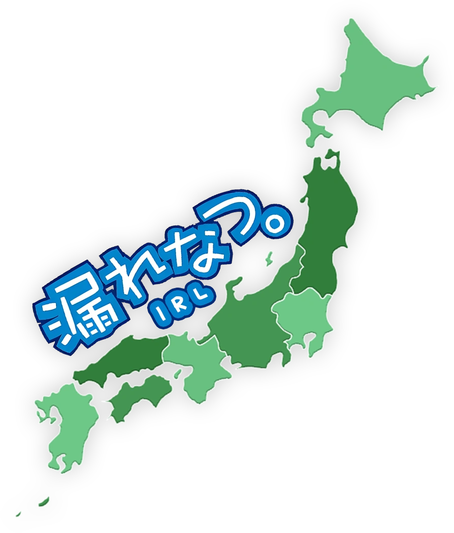 IRL Project | Morenatsu Wiki | Fandom