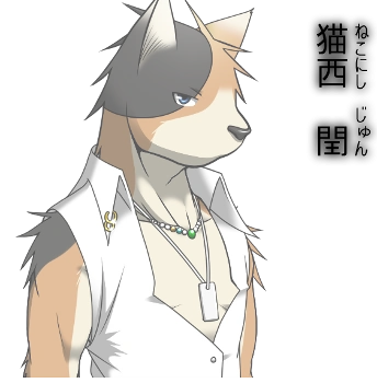 Jun Nekonishi | Morenatsu Wiki | Fandom