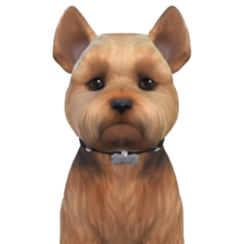 Princess | Morgan Kart FSMO Wiki | Fandom