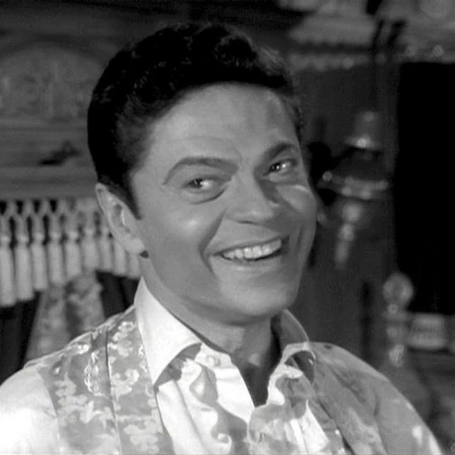 Ross Martin | Mork and Mindy Wiki | Fandom