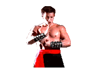 Johnny Cage MK1 | Mortal Kombat Project Wiki | Fandom