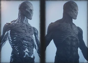 Harden | Mortal Shell Wiki | Fandom