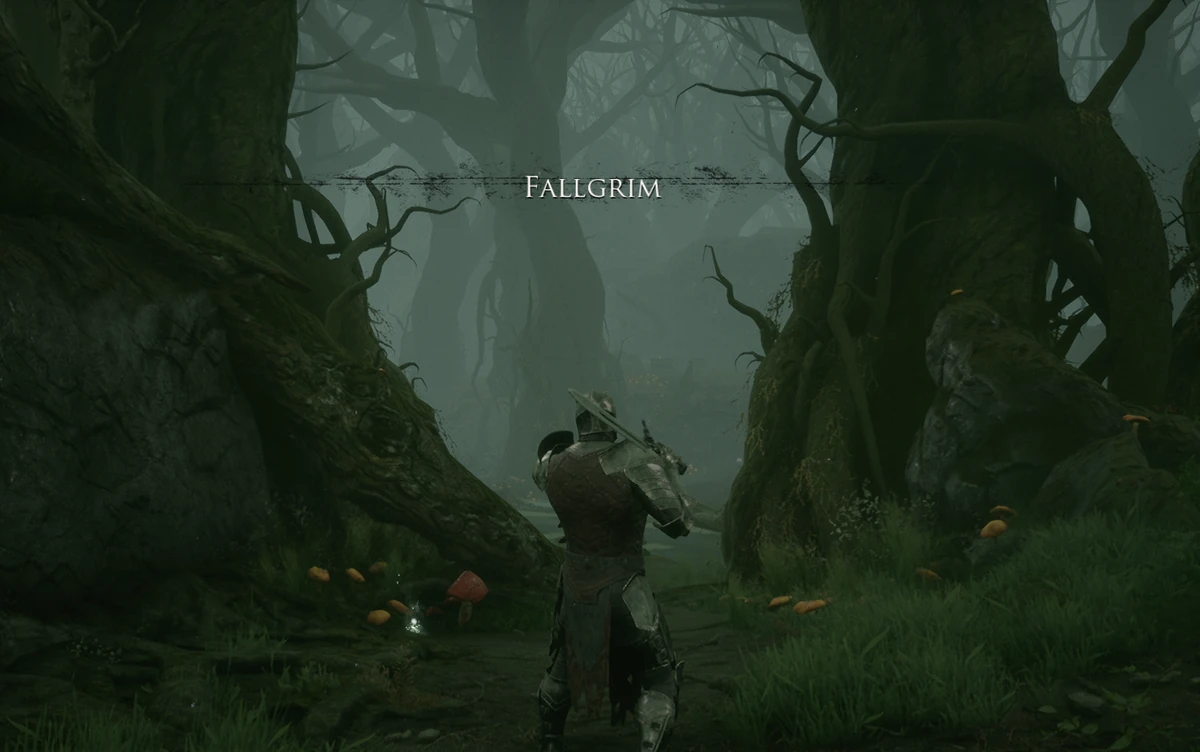 Fallgrim | Mortal Shell Wiki | Fandom