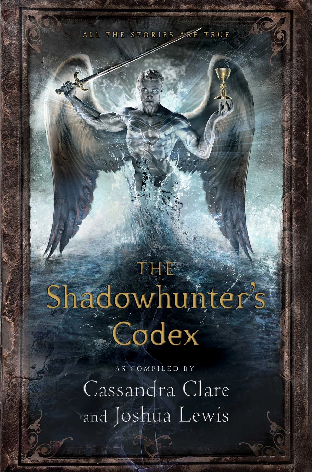 The Shadowhunter's Codex | The Shadowhunters' Wiki | Fandom