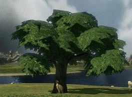 Trees | Mortal Online Wiki | Fandom