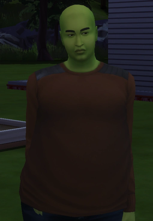 Shrek Ogre | Morton Family Wiki | Fandom