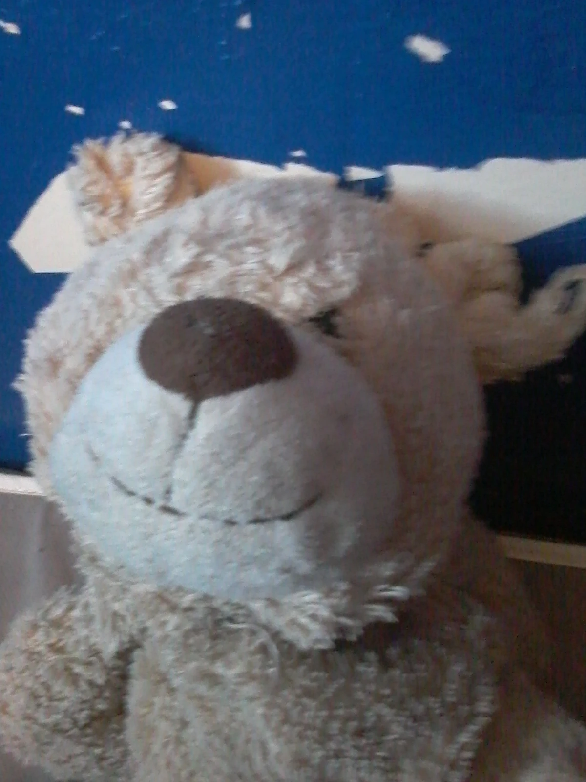 Moses | Moses bear daddy bear and tiger tiger Wiki | Fandom