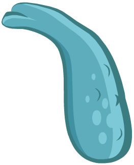 Furi's Troll Shnozzle | Moshi Monsters Wiki | Fandom