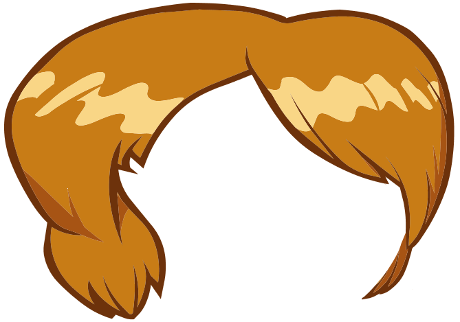 Long Brown Wig | Moshi Monsters Wiki | Fandom