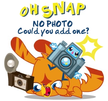 Moshi Member | Moshi Monsters Wiki | Fandom