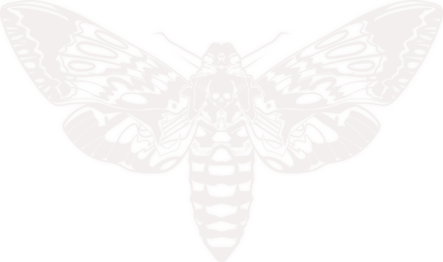 MOTHICA | MOTHICA Wiki | Fandom