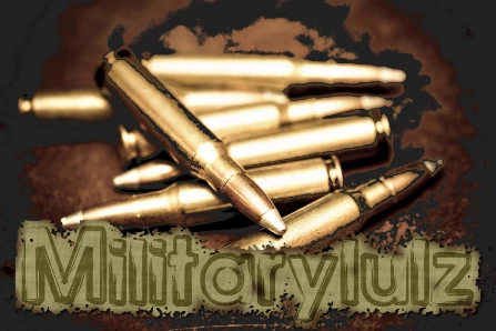 Military Lulz | Moti Network Wiki | Fandom
