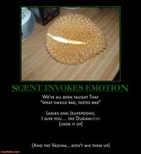 Mooooooooooooooooooo | Moti Network Wiki | Fandom