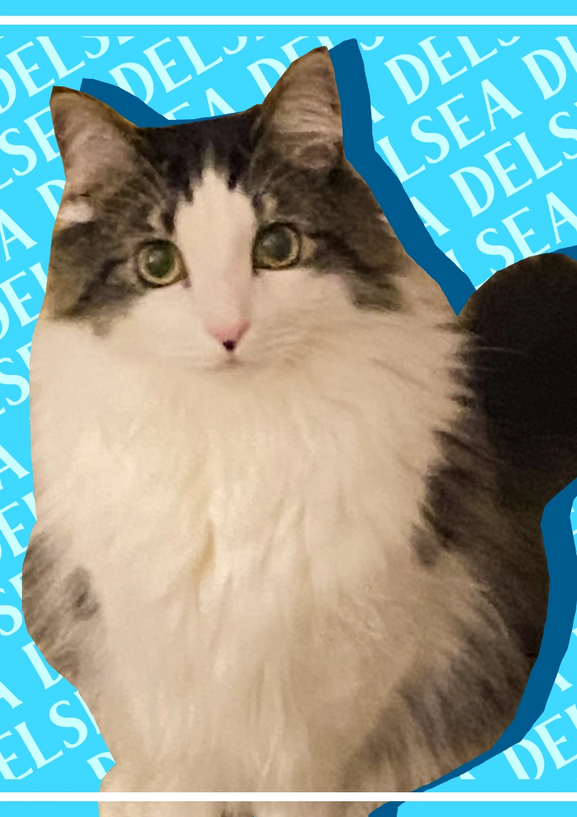 Alana | Motionvivor Wiki | Fandom