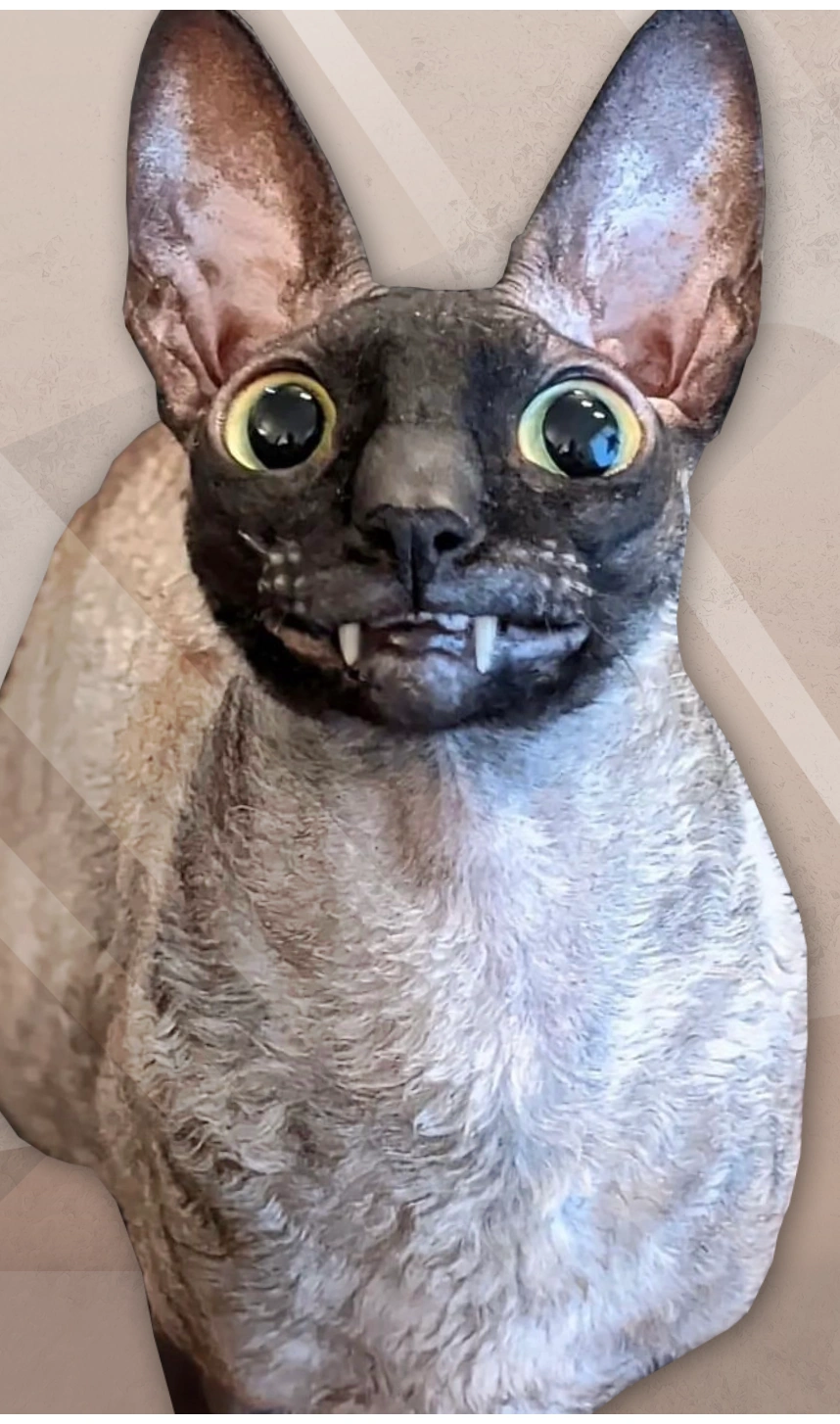 Clink | Motionvivor Wiki | Fandom