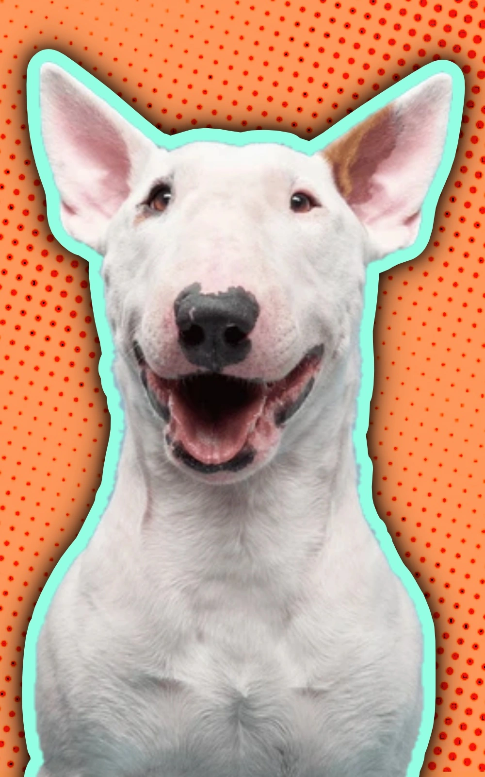 Orange | Motionvivor Wiki | Fandom