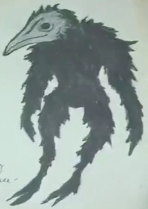 Raven Mocker | Mountain monsters aims Wikia | Fandom