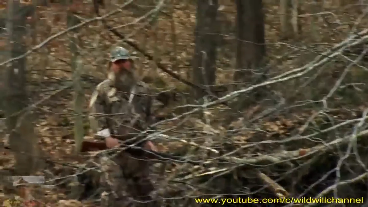 Shadow Creature of Braxton County | Mountain monsters aims Wikia | Fandom