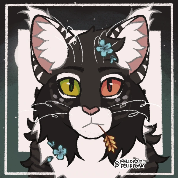 Mix-Match | Mountain Sky Wiki | Fandom