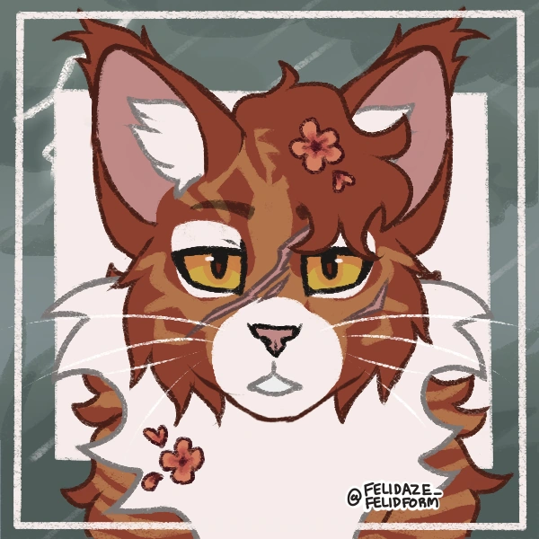 Sky Robin | Mountain Sky Wiki | Fandom