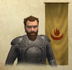 Sultan Hakim | Wikia Mount & Blade | Fandom