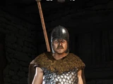 Category:Bannerlord Troops | Mount & Blade Wiki | Fandom