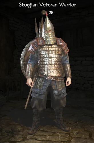 Sturgian Heavy Axeman | Mount & Blade Wiki | Fandom