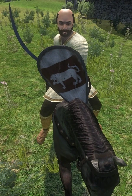 Vaegir Horseman (multiplayer) | Mount & Blade Wiki | Fandom