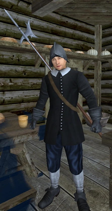 Mercenary Halberdier | Mount & Blade Wiki | Fandom