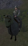 Lord Kastor of Veluca | Mount & Blade Wiki | Fandom
