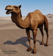 Aserai | Mount & Blade Wiki | Fandom