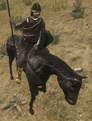 Rhodok Horseman | Mount & Blade Wiki | Fandom